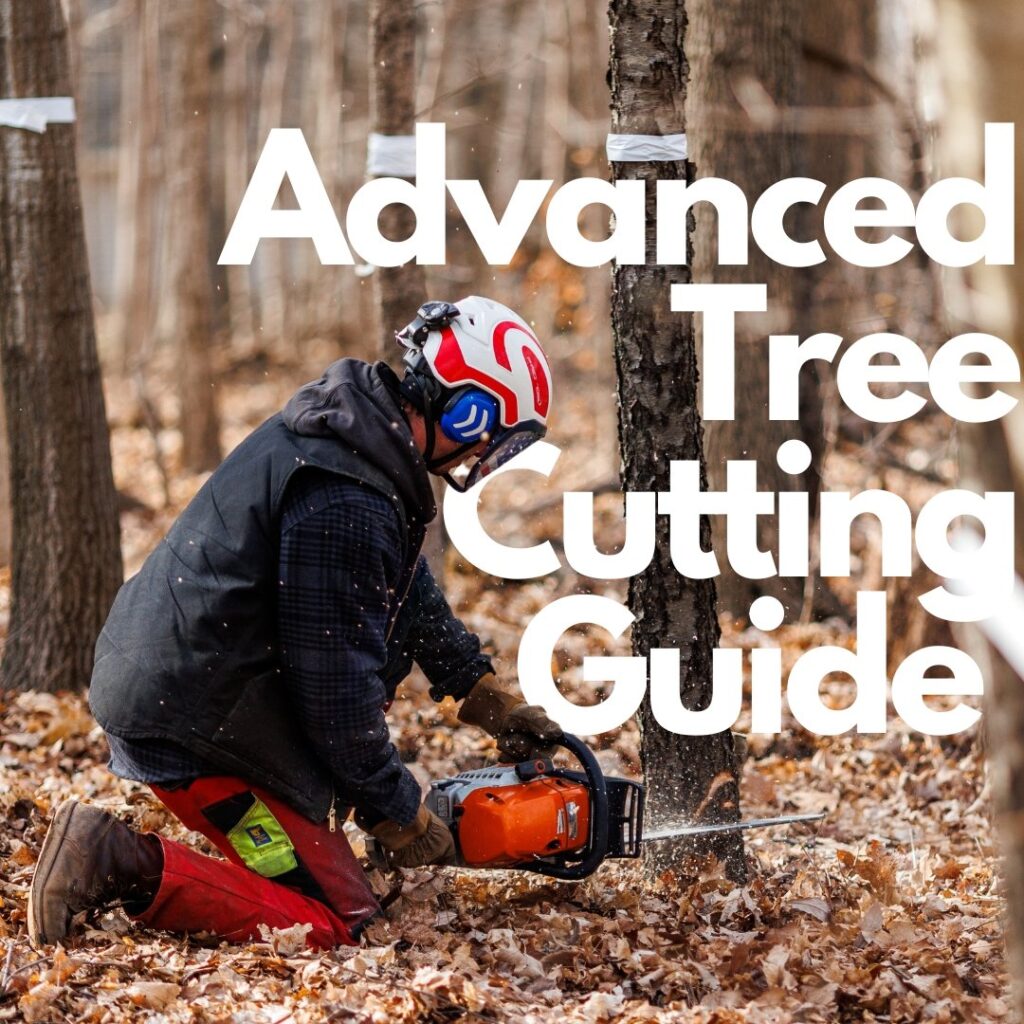 Mastering Advanced Tree Cutting Techniques: Safety, Equipment, and Best ...