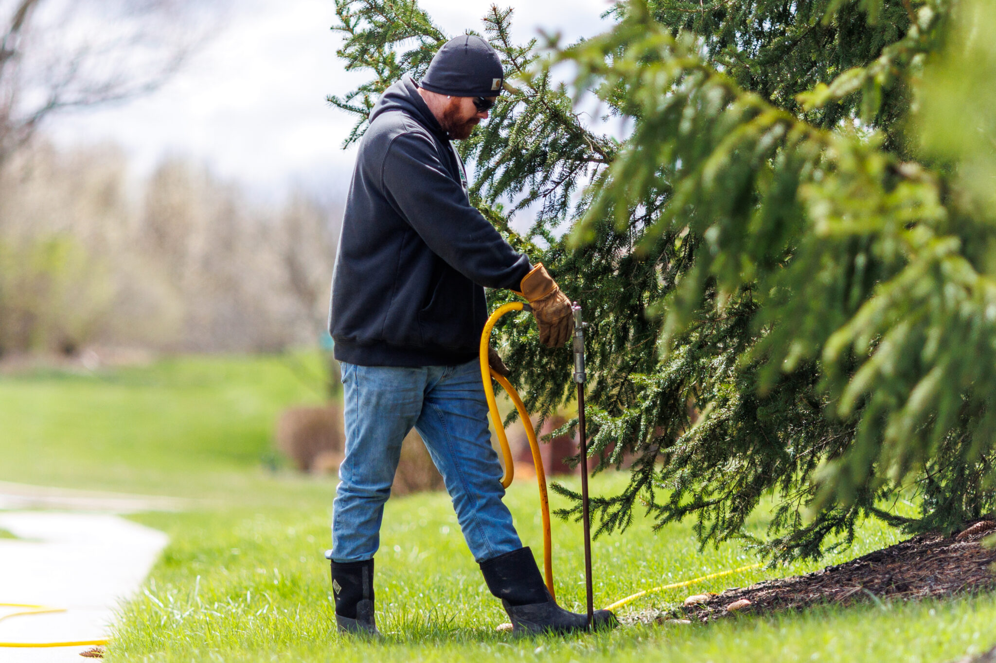 6 Steps for Tree Nutritional Excellence